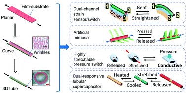 Spontaneous formation of wrinkle-driven tubular structure as a versatile platform for adaptive ...