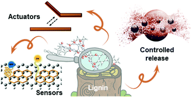 Lignin-based smart materials: a roadmap to processing and synthesis for ...