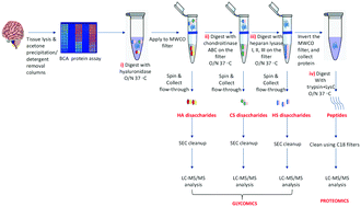 Serial in-solution digestion protocol for mass spectrometry-based ...