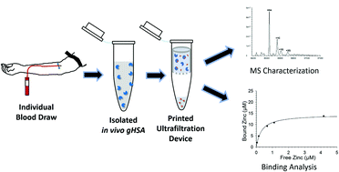 A novel 3D-printed centrifugal ultrafiltration method reveals in vivo ...
