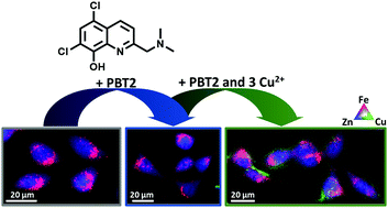 PBT2 acts through a different mechanism of action than other 8 ...