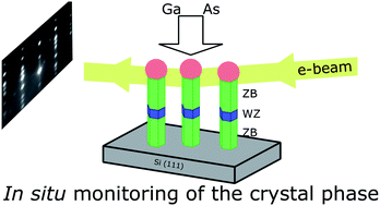 Crystal phase engineering of self-catalyzed GaAs nanowires using a ...