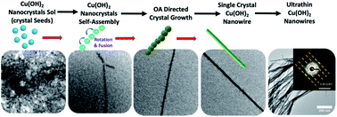 Fabrication of ultrathin CuO nanowires augmenting oriented attachment ...