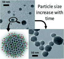 Long-term effects of impurities on the particle size and optical ...