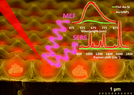Nano-substructured plasmonic pore arrays: a robust, low cost route to ...