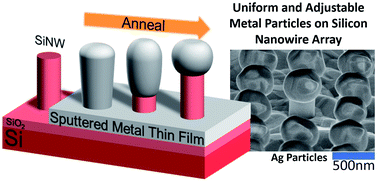 Adjustable metal particle grid formed through upward directed solid ...