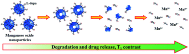 Tuneable manganese oxide nanoparticle based theranostic agents for ...