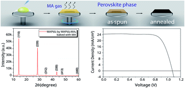 Ambient processed (110) preferred MAPbI3 thin films for highly ...