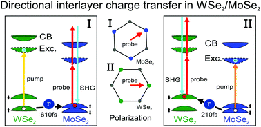 Directional ultrafast charge transfer in a WSe2/MoSe2 heterostructure selectively probed by time ...