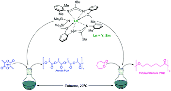 Amido rare-earth(iii) and Ca(ii) complexes coordinated by tridentate ...