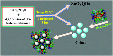 Luminescent carbogenic dots for the detection and determination of ...
