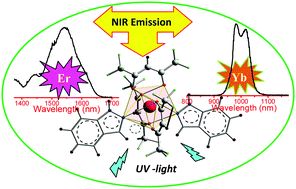 Structures and pure near-infrared photophysics of erbium and ytterbium ...
