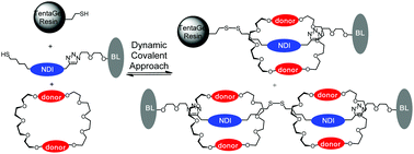 Dynamic covalent synthesis of [2]- and [3]rotaxanes both in solution ...