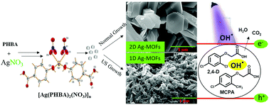 Photocatalytic activity of new nanostructures of an Ag(i) metal–organic ...