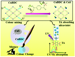 An accurate and portable colorimetric chemosensor for S2− detection via ...