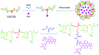 Doxorubicin-loaded micelles with high drug-loading capacity and ...