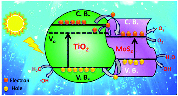Two-dimensional MoS2 nanosheet-modified oxygen defect-rich TiO2 ...