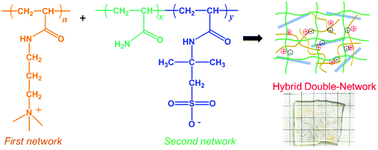 Hybrid double-network hydrogels with excellent mechanical properties ...