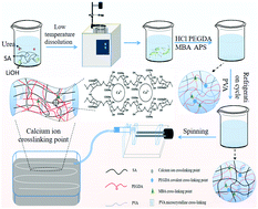 Dynamic formation of calcium alginate/polyethylene glycol acrylate dual ...