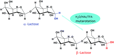 Lactose Ring Structure