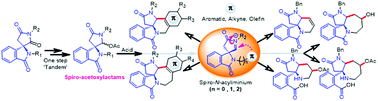Aza-heterocyclic frameworks through intramolecular π-system trapping of ...
