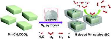 Unravelling the efficient catalytic performance of ozone decomposition ...