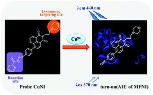 A novel “turn-on” fluorescent probe based on naphthalimide for the tracking of lysosomal Cu2+ in ...
