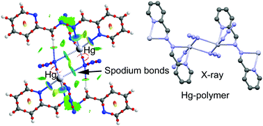A new spodium bond driven coordination polymer constructed from mercury ...