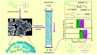 Synthesis and characterization of cellulose derivative-based hybrid ...