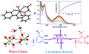 Nickel(ii) di-aqua complex containing a water cluster: synthesis, X-ray ...