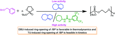DBU and TU synergistically induced ring-opening polymerization of ...