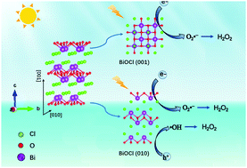 Insight into facet-dependent photocatalytic H2O2 production on BiOCl ...