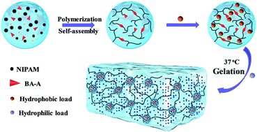 A bio-inspired fluorescent nano-injectable hydrogel as a synergistic ...