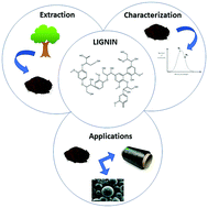 Revisiting lignin: a tour through its structural features ...