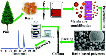 Separation of alkaloids and their analogs in HPLC using rosin-based ...