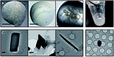 MicroED in natural product and small molecule research - Natural ...