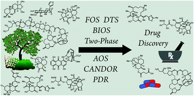 Bridging the gap between natural product synthesis and drug discovery ...