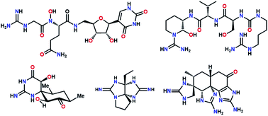 The chemistry and biology of guanidine secondary metabolites - Natural ...