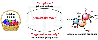 Balancing skeleton and functional groups in total syntheses of complex ...