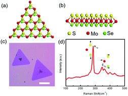 Biomolecular sensing by surface-enhanced Raman scattering of monolayer ...