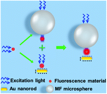 Fluorescence enhancement based on cooperative effects of a photonic ...
