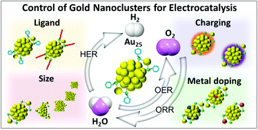 Gold nanoclusters as electrocatalysts: size, ligands, heteroatom doping ...