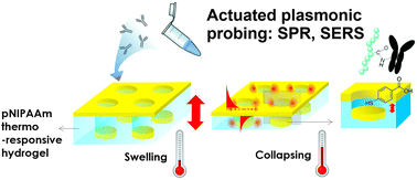 Actuated plasmonic nanohole arrays for sensing and optical spectroscopy applications - Nanoscale ...