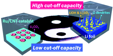 Improvement of lithium anode deterioration for ameliorating ...