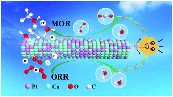Insights into the morphology and composition effects of one-dimensional ...
