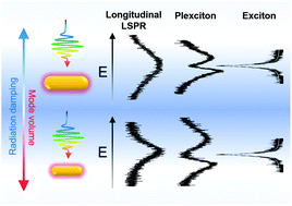 Nanoscale plasmon–exciton interaction: the role of radiation damping ...