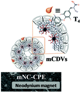 Cyclodextrin-based superparamagnetic host vesicles as ultrasensitive ...