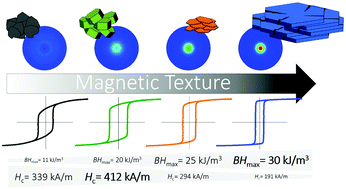 Elucidating the relationship between nanoparticle morphology, nuclear ...