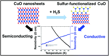 Semiconductor-to-conductor transition in 2D copper(ii) oxide nanosheets ...