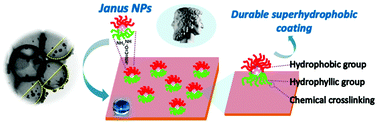 Reactive amphiphilic hollow SiO2 Janus nanoparticles for durable ...